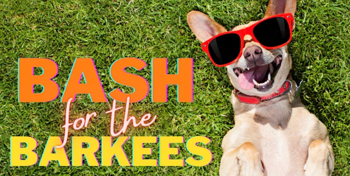 First Major Fundraiser to Benefit Barkee Laroux's House of Love Animal ...