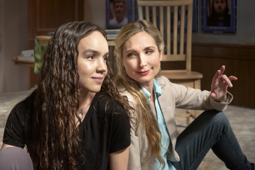 WHAT THE CONSTITUTION MEANS TO ME - Reviewed by Stephen Radosh - Gay ...