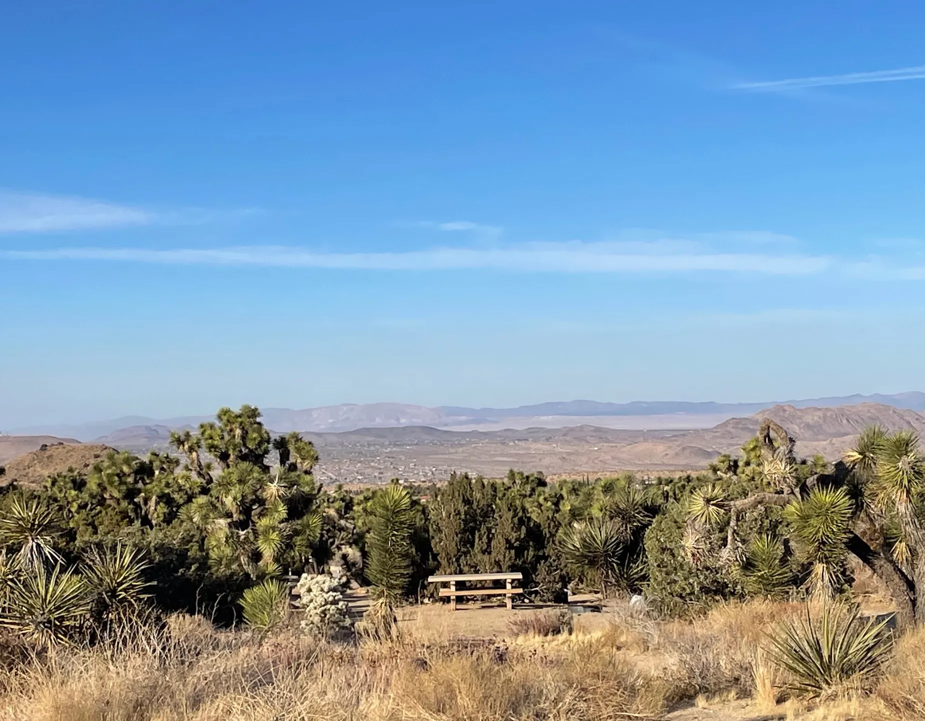 Joshua Tree National Park’s Black Rock Canyon