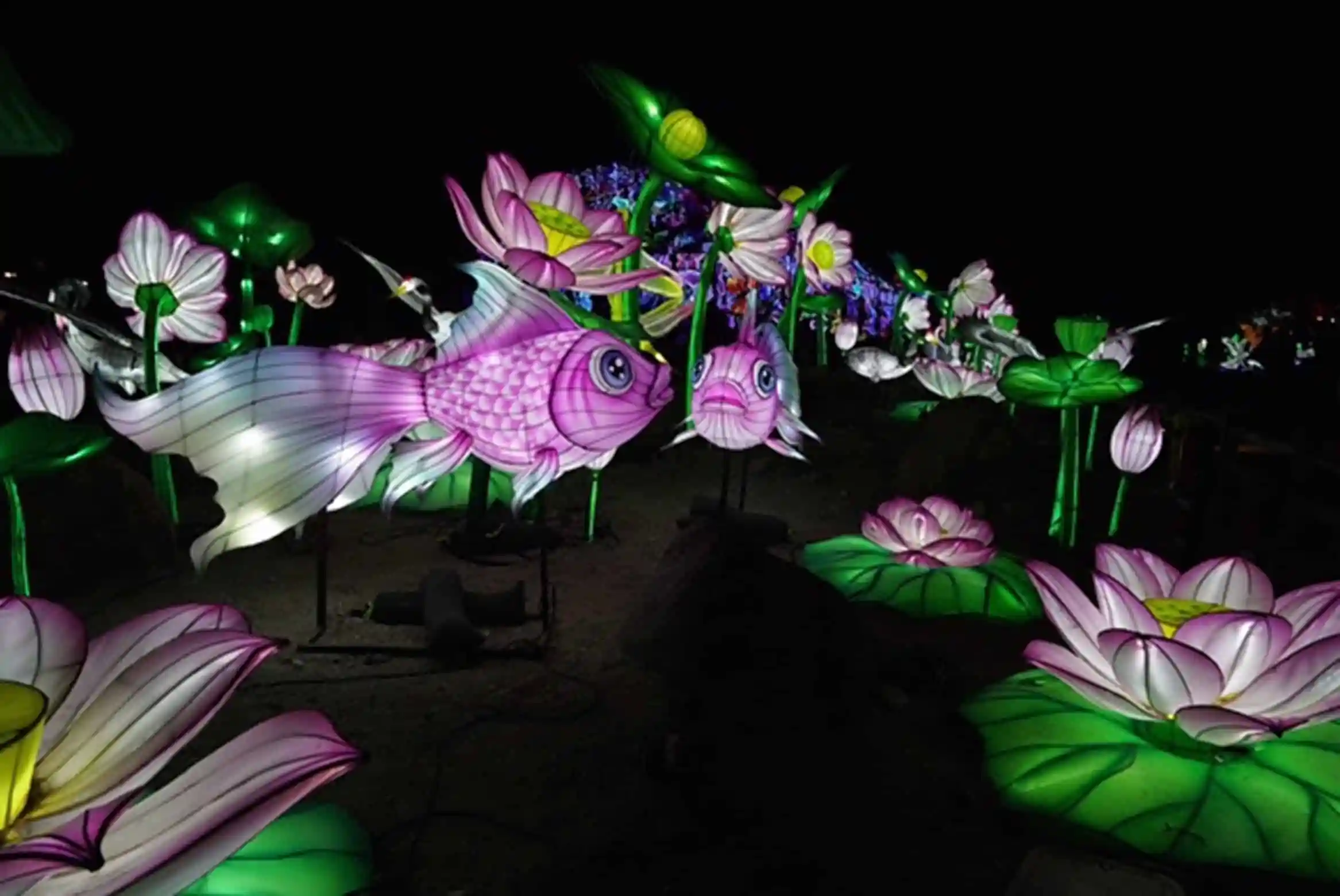 Out and About – Magnificent Glow Show in Living Desert