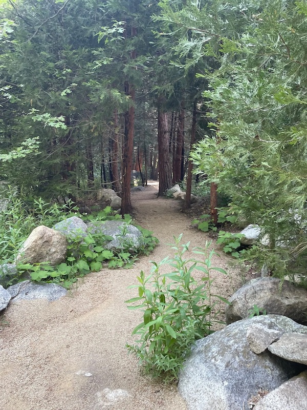 Hiking With T: Scenic Cool-Weather Trails Near Idyllwild